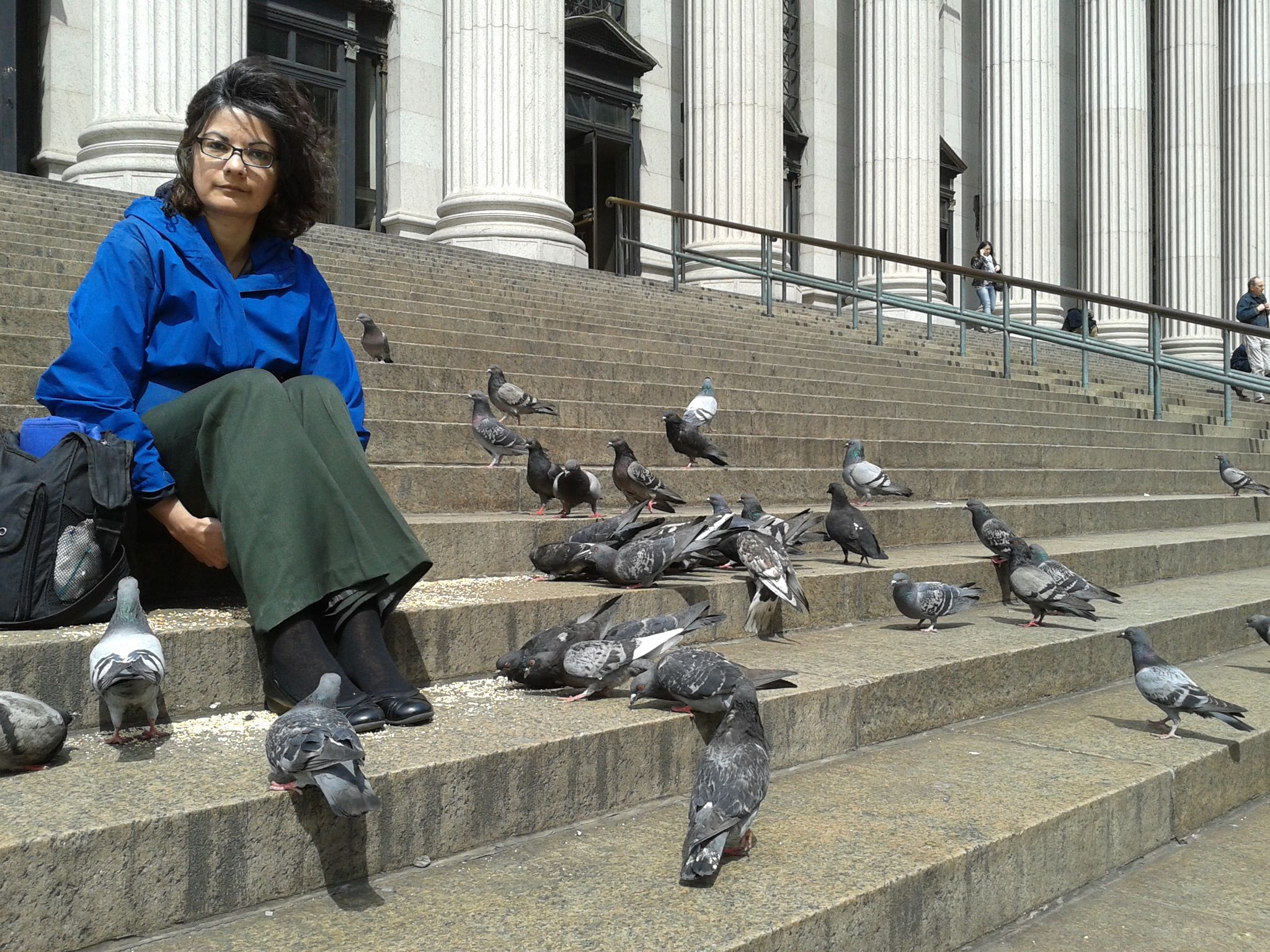 Las palomas se reproducen sin control en las ciudades | Ahuyentamiento ...